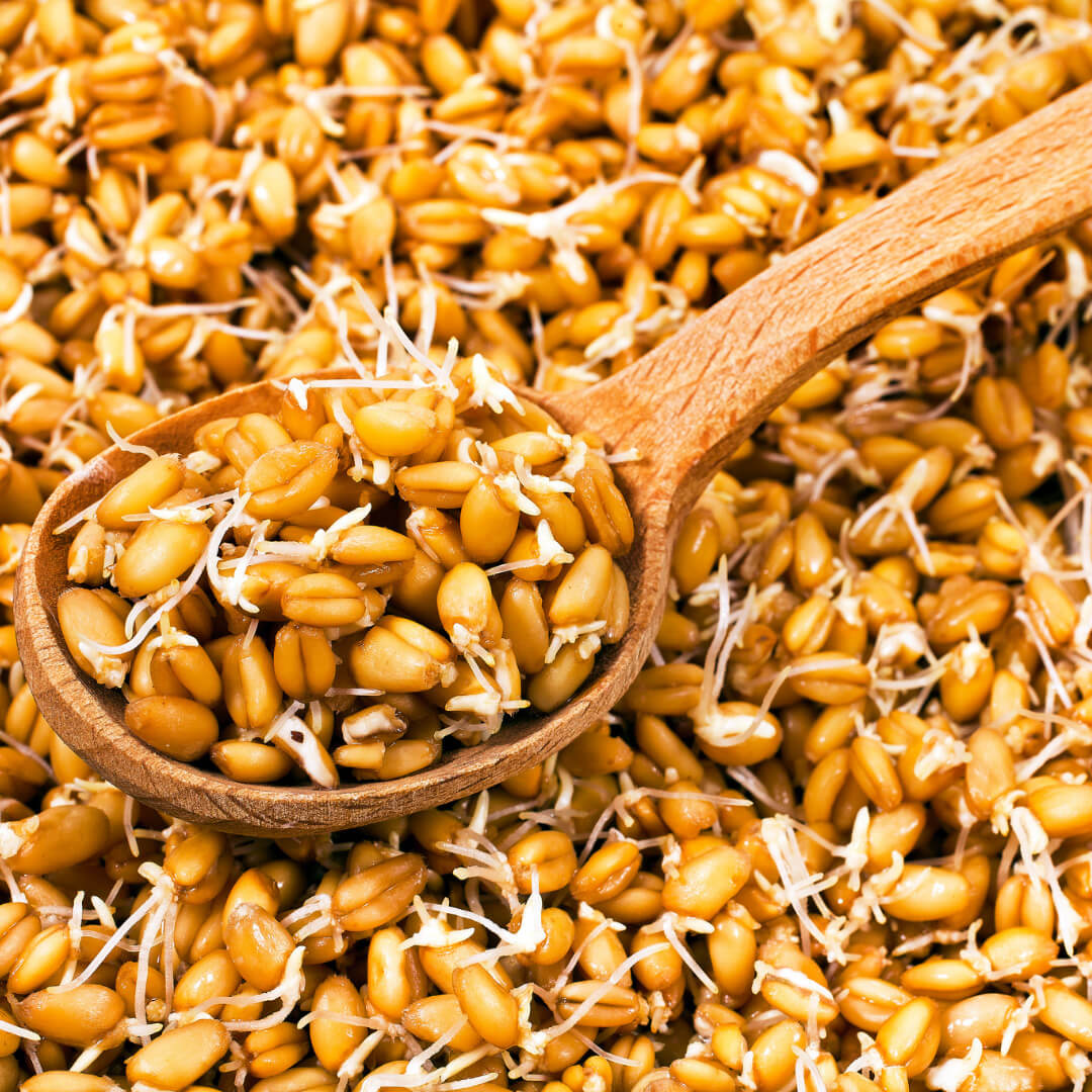 Malta - Conexión Alimenticia